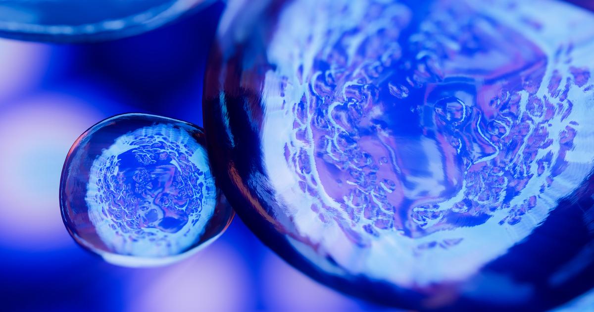 Premier Science Showcase – Kudos: Growing the influence of research