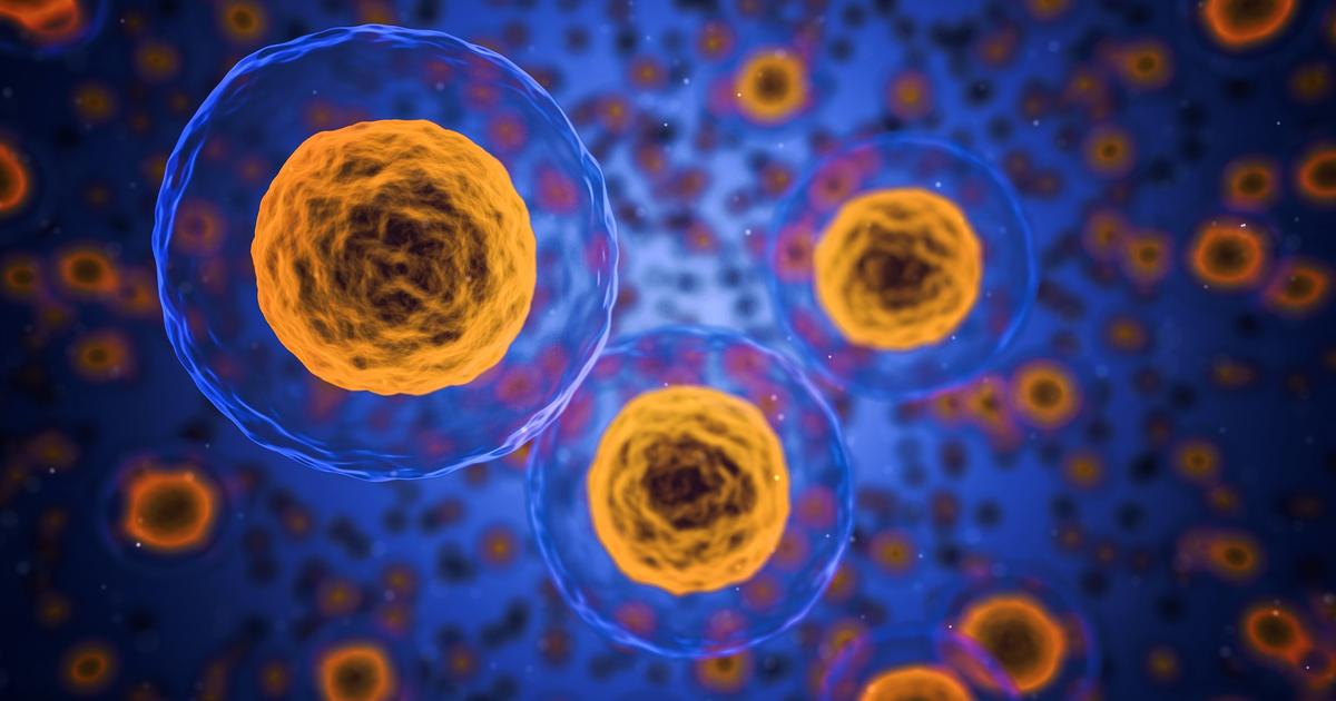 Wiley Research Showcase – Kudos: Growing the influence of research